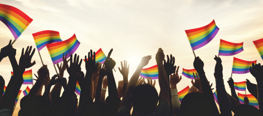 Pride: Signification et évolution du mot "Pride" | Kaplan International